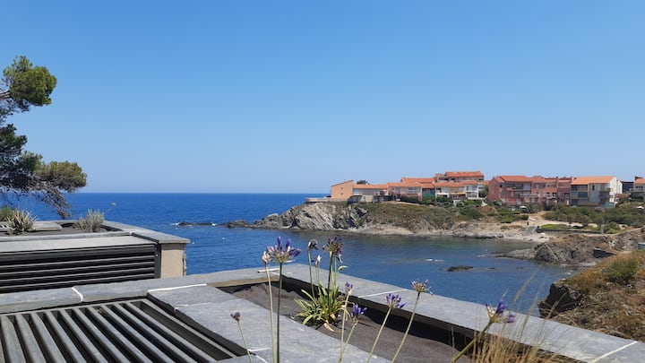 T1 Bis Neuf / Pieds Dans L'eau - Collioure