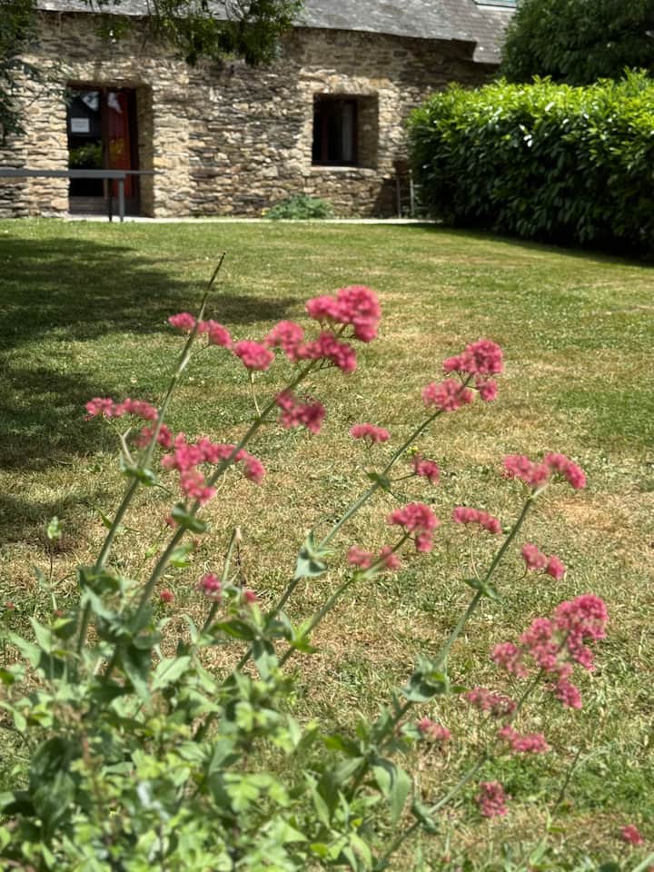 Le Gîte Des Hespérides - Brocéliande
