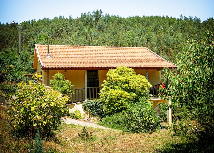 Casa Do Barbeito - Castelo de Paiva