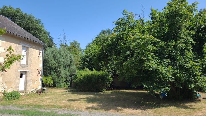 Gîte La Maison Des Arts - Chasseneuil-du-Poitou