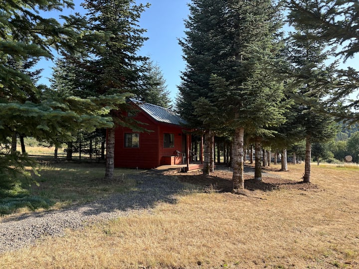 Small Cabin In A Noble Forest - King Estate Winery, Eugene