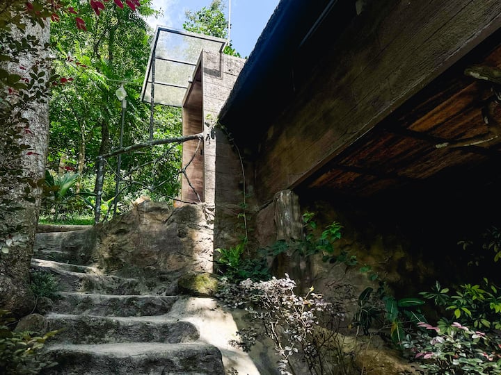A Lush Forest Farmstay W/ Treehouses & Nature Pool - Thekkady