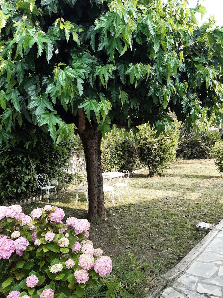 Villa 1929 Proche Centre-ville - Saintes