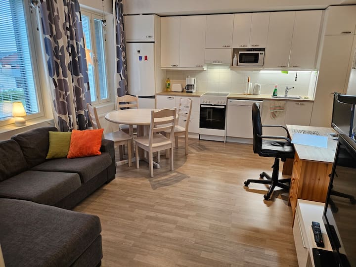 Sauna + 1 Bedroom Apartment - Oulu