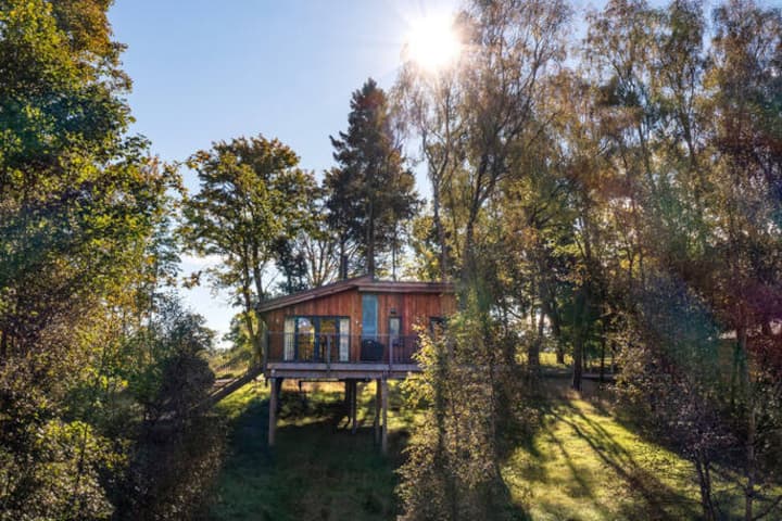 Luxury Secluded Treehouse - Callander