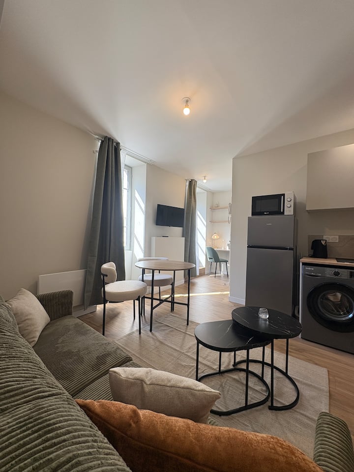 L’agate Balcon Chic Et Vue Parc - Castres