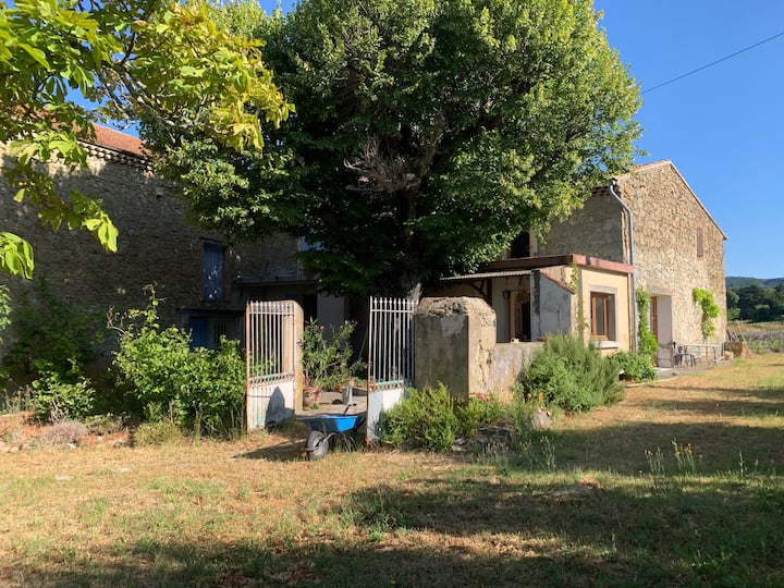 Ferme Du Grand Pré - Saou