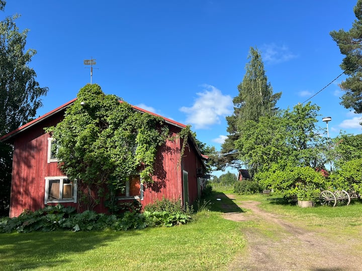 Maalais-sviitti - Kouvola