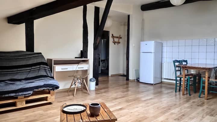 Appart 42m² Hypercentre - ibis Limoges Centre