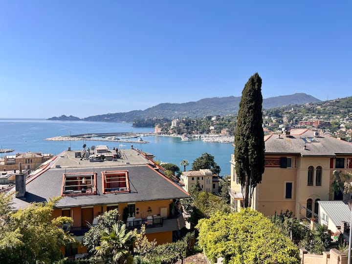 Sunflower - Portofino