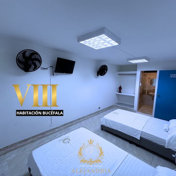 Alejandría - Diseño Con Estilo - Bucaramanga