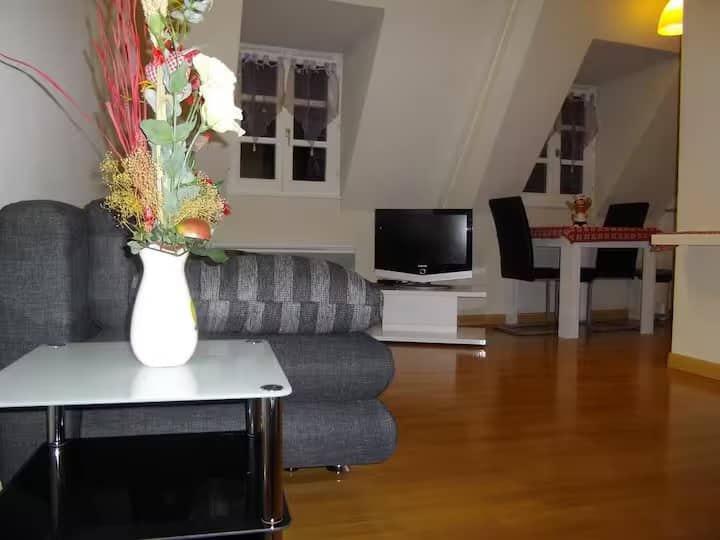 Appartement Centre Historique - Colmar