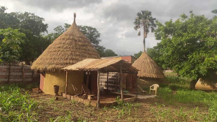 Case Traditionnelle Bassari - Sénégal