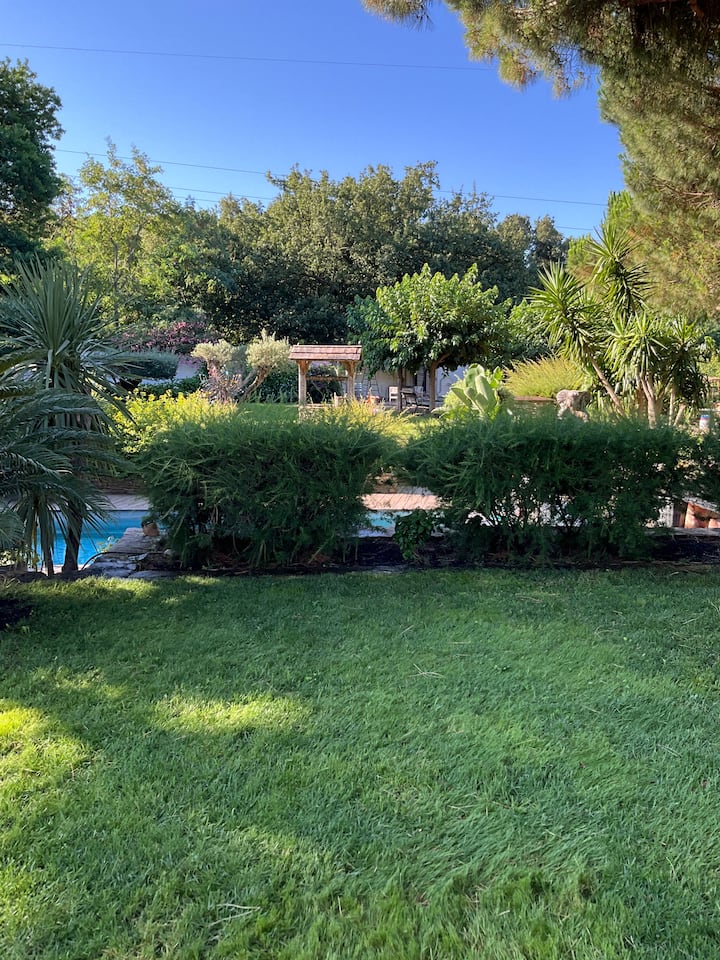 Entre Les Pins Et Les Oliviers - Bormes-les-Mimosas