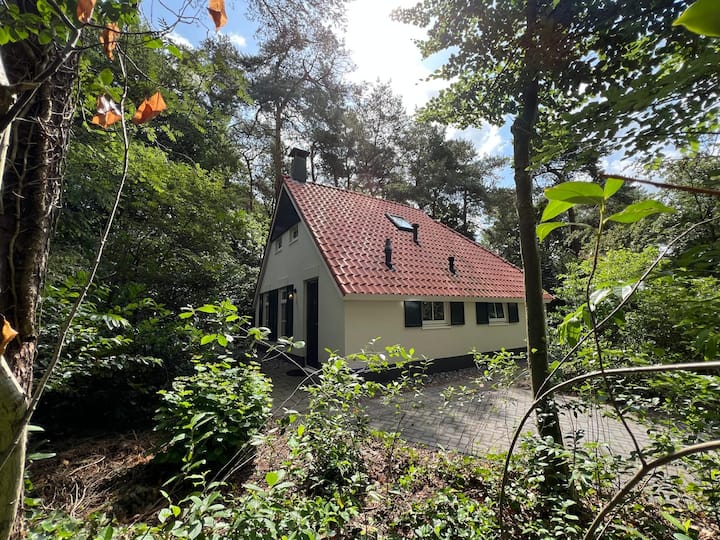 De Molshoop - Midden In Het Bos - Meppel