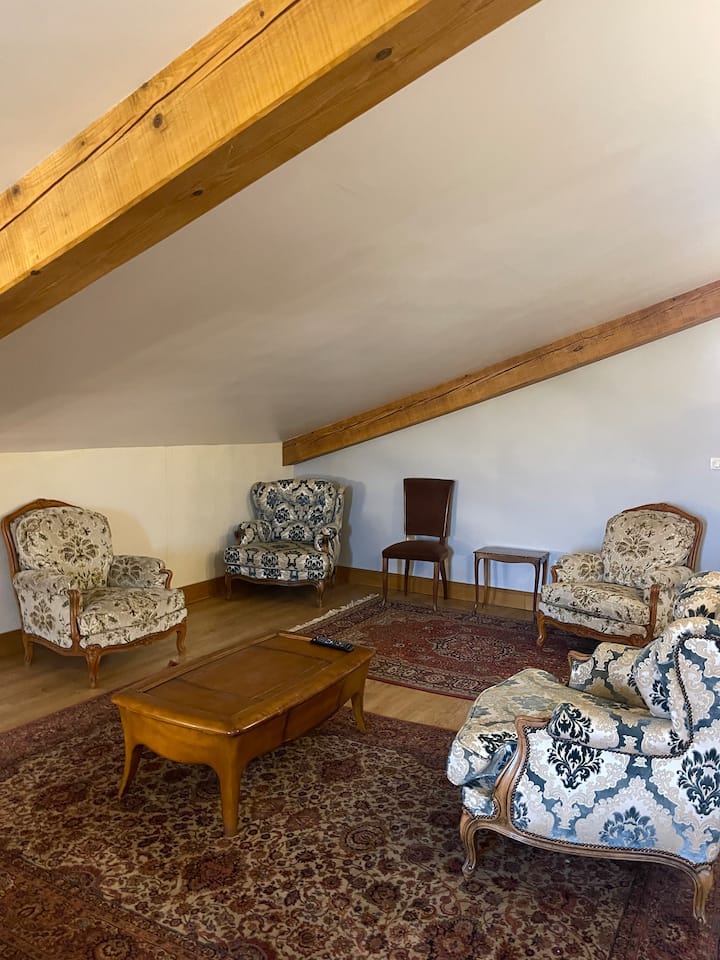 Gîte De Caractère De 230 M2 - Gimont