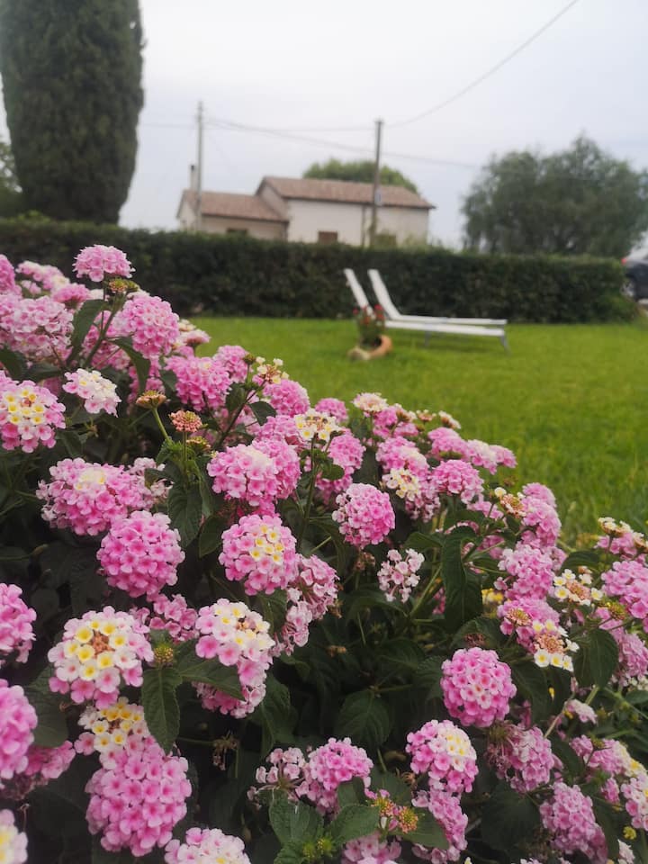 Casa Vacanze Villa Anna Maria - Scanzano Jonico