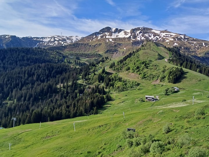 Vue Des Cimes, Samoëns, Plateau Des Saix 1600m - Samoëns