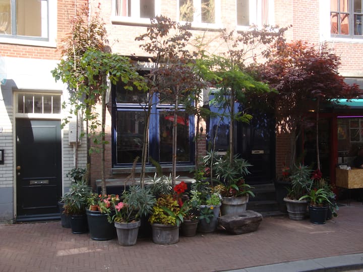 Museum District With Two Double Bedrooms - Amsterdam