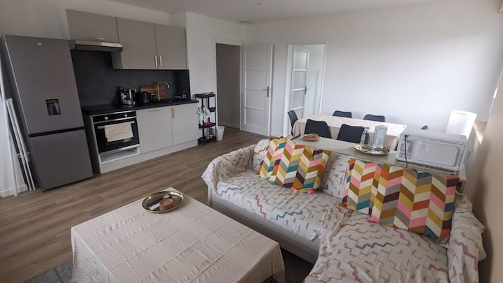 Annemasse : Chambre 4 Avec Salon Et Sdb Privés - Annemasse