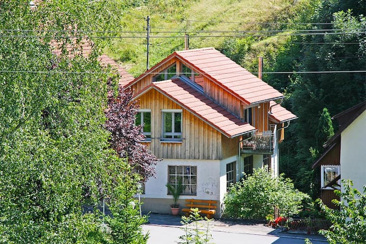 Gemütliche Ferienwohnung In Neuenweg - Belchen