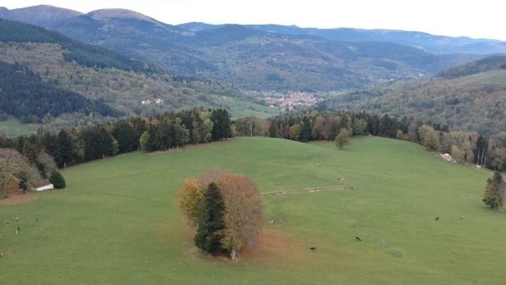 Centre De Vacances Landersen - Munster, France