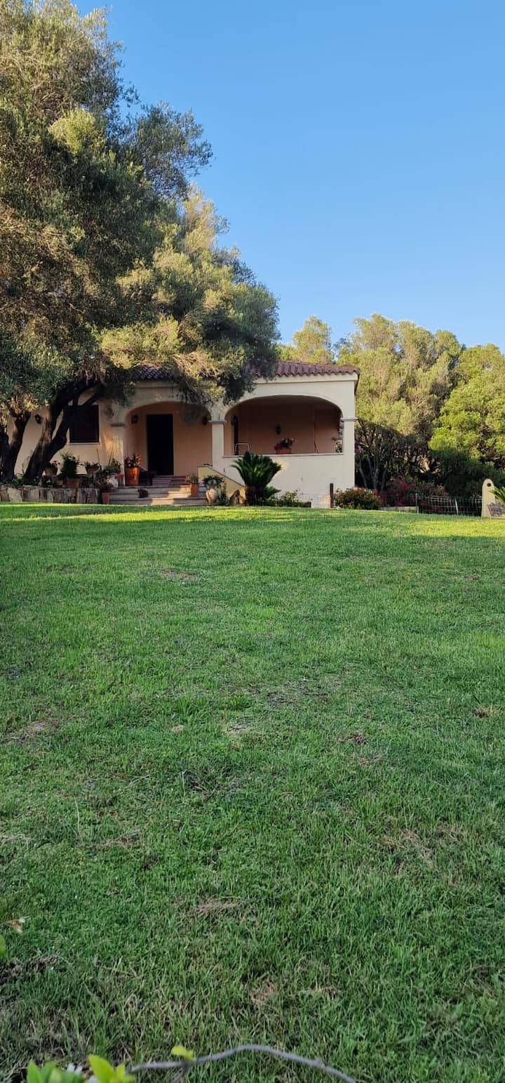 Villa Con Giardino Alle Porte Della Costa Smeralda - Golfo Aranci