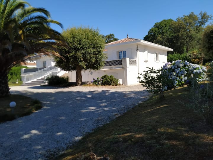 Maison/appartement 172 M² Tarnos - Bayonne