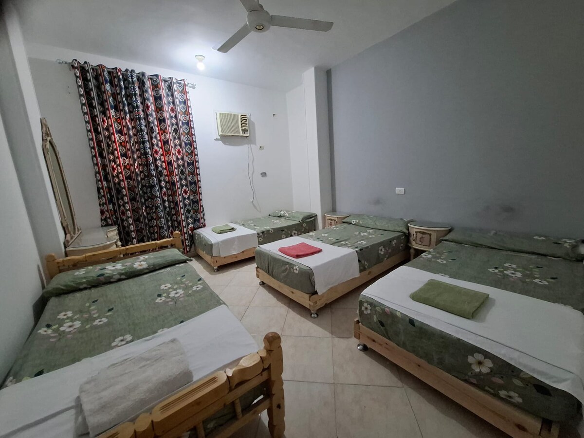standard quad room - Bed and breakfasts for Rent in Aswan 1, Aswan ...