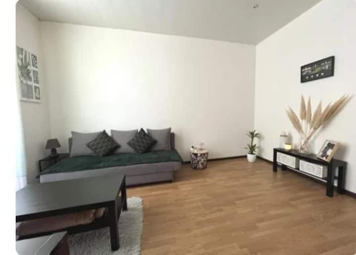 Cityhome Mulhouse - Centre Ville - Grand T2 - Mulhouse