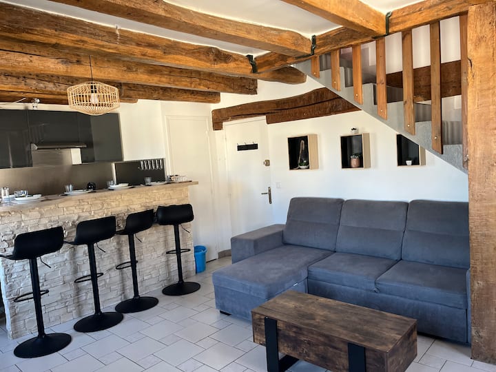 Duplex Modern N Cosy Cdg/astérix - Plailly