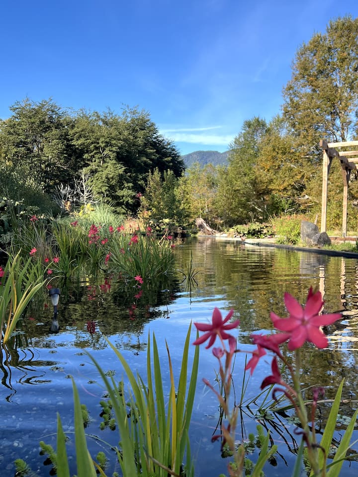 Casa De Campo, Piscina Natural, Huerta - Araucanie
