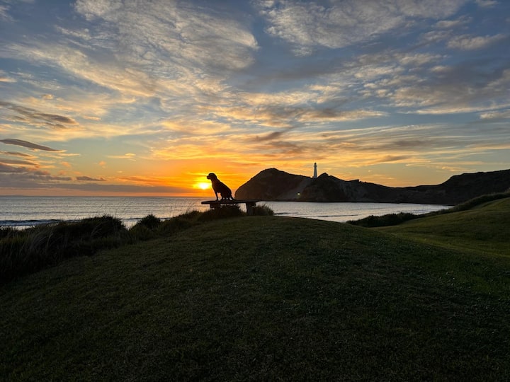 Waiwhare (Beach Front Property) - Castlepoint