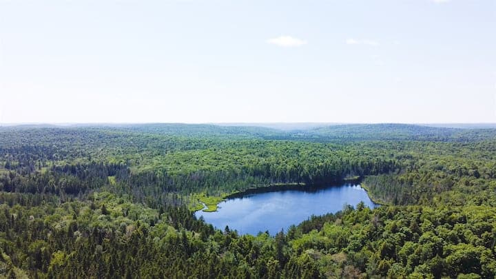 Madawaska 2 - Algonquin Provincial Park