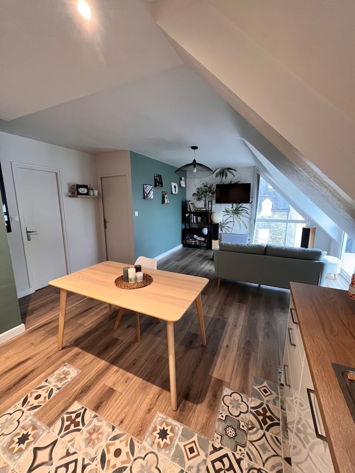 Appartement Charmant Avec Garage - Vannes