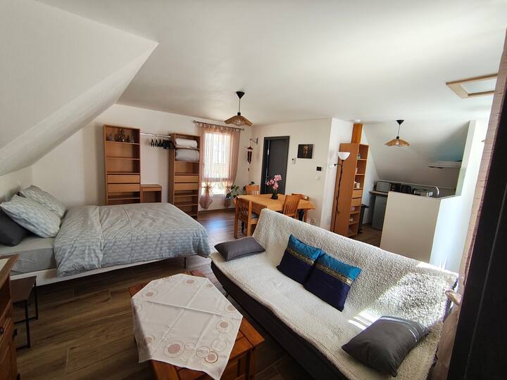 Studio Ban Chailai Cosy & Calme - Marckolsheim