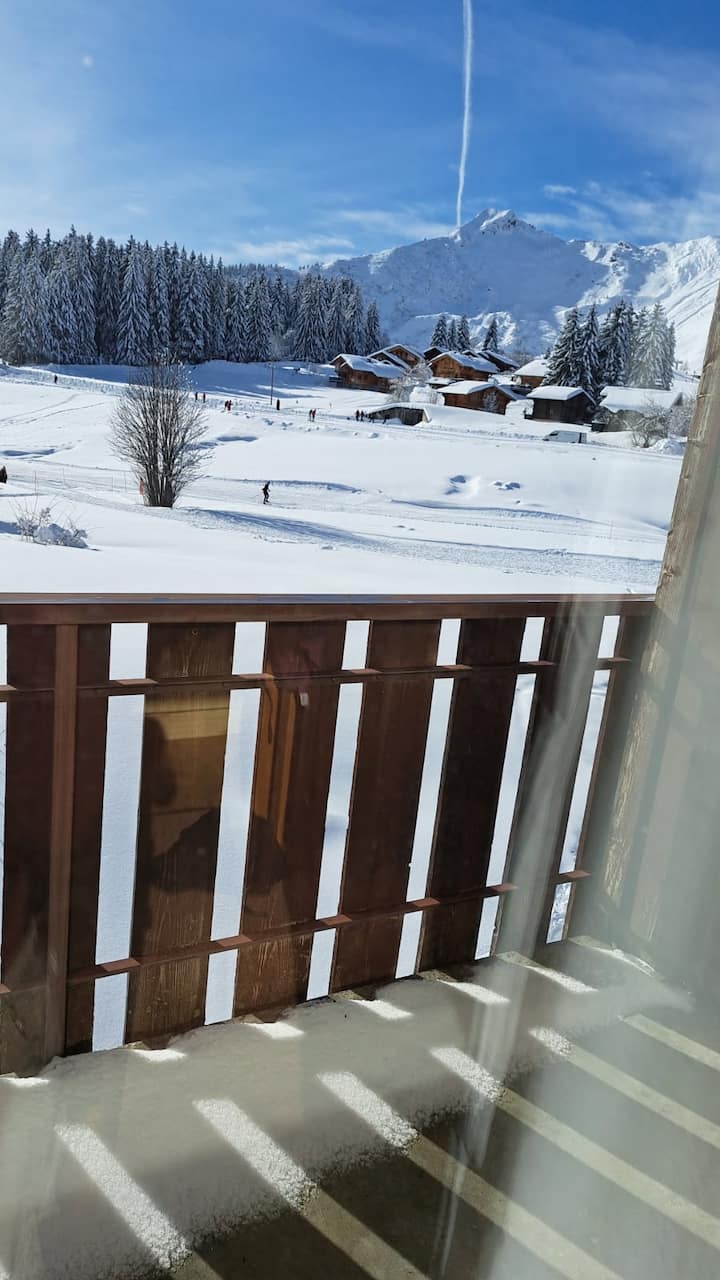 Studios En Duplex Le Vésine - Taninges