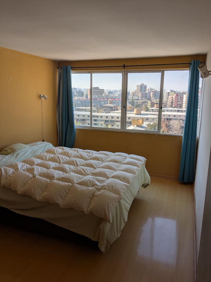 Lindo Departamento Dúplex - Providencia