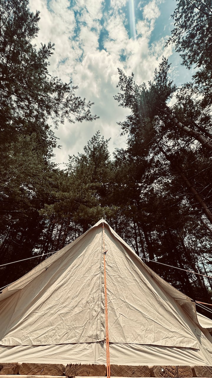 Yurt Tent In The Pines. - Ithaca, NY
