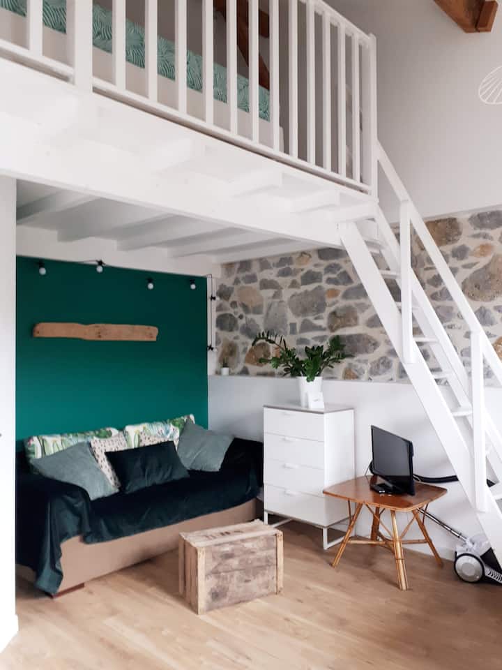 Casa Goldie - Green - Ciboure - Ciboure