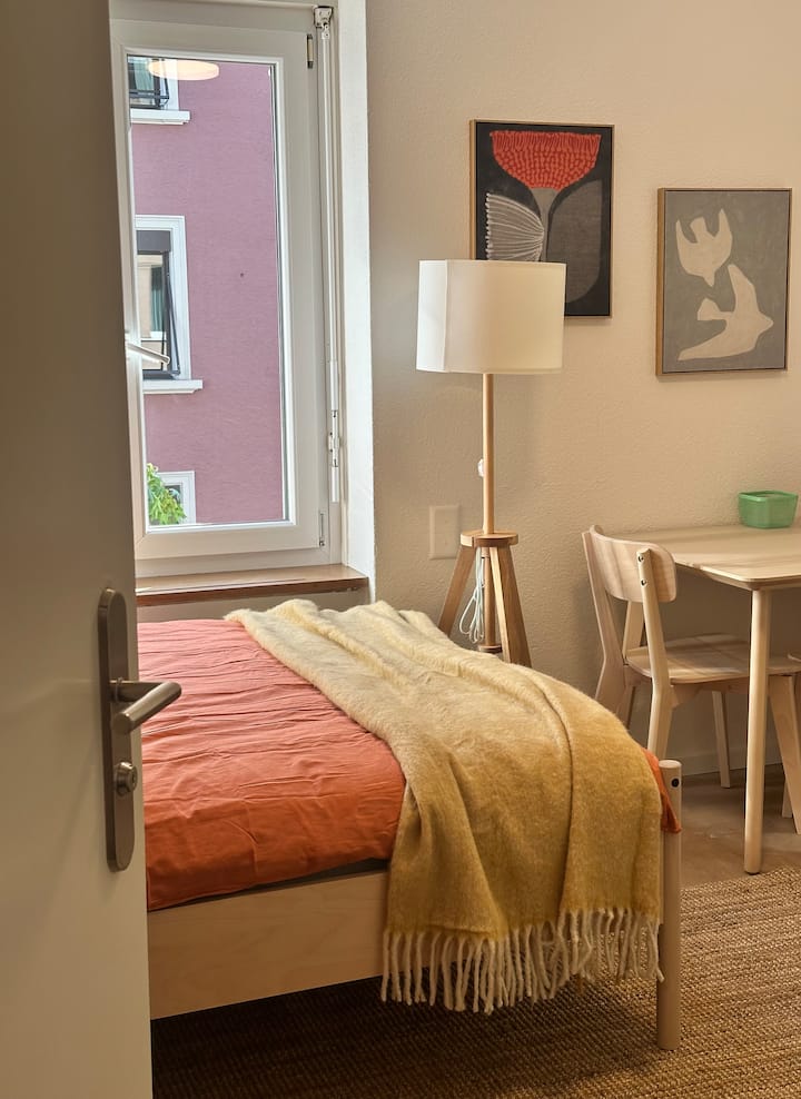 Neugasse | City Center Micro Apt. | 12 - Zurich