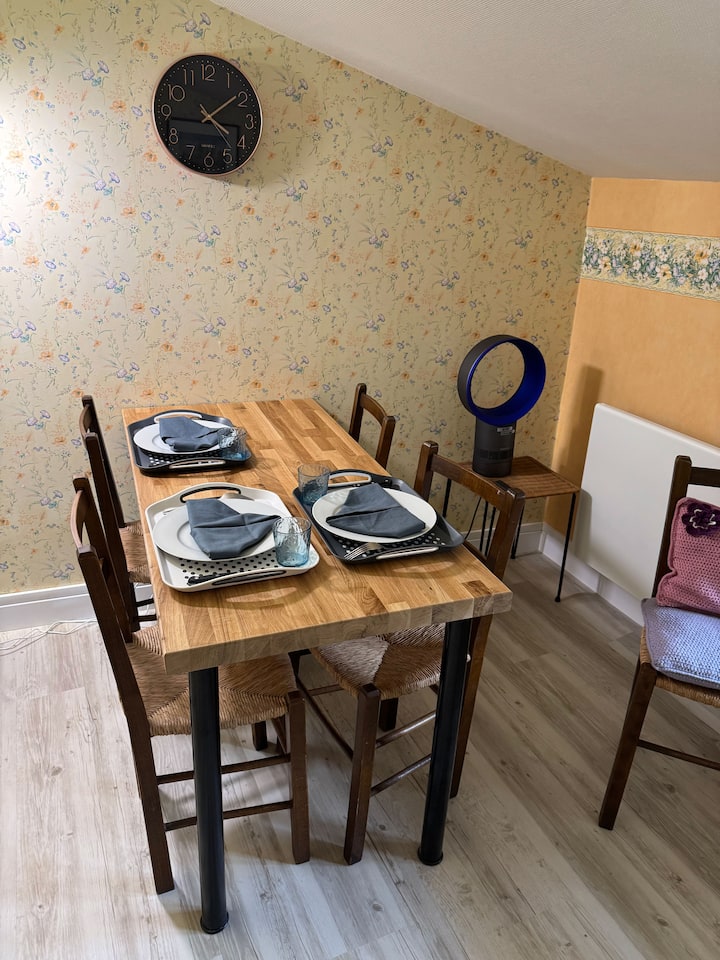 Chambre Climatisée + Enfant - Mirepoix