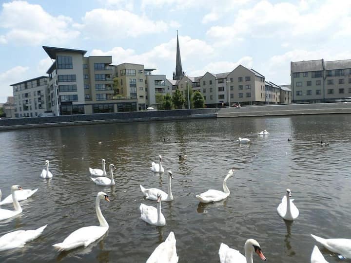 The River Bank. - Carlow