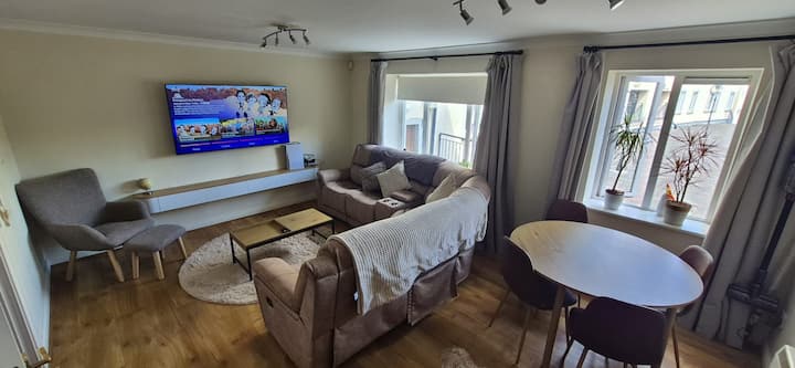 The River Bank. - Carlow