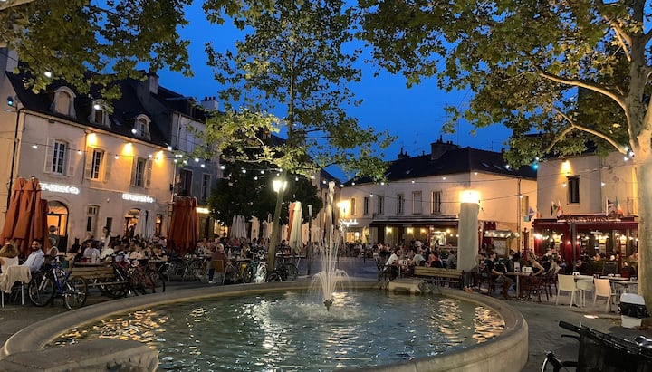 Petit Appartement Hyper Centre - Dijon