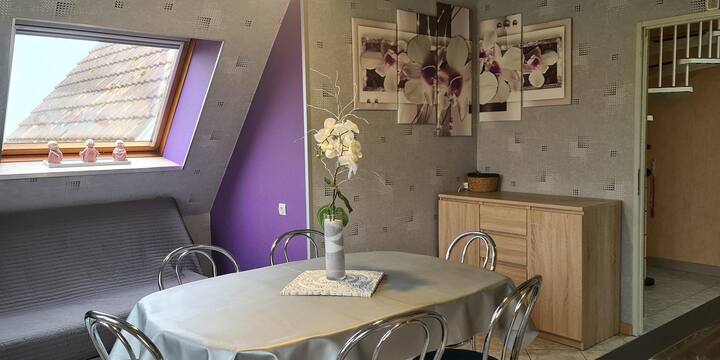 Gîte Famille 2/4 Personnes En Duplex - Dambach-la-Ville