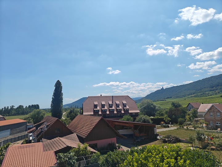 Gîte Famille 2/4/6 Personnes En Duplex - Dambach-la-ville