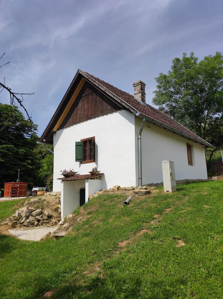 Nózsi-hegyi Vendégház Patca - Kaposvár