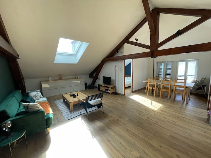 Appartement Du Carrousel - Gérardmer