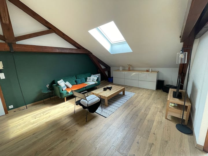 Appartement Du Carrousel - Lac de Gérardmer